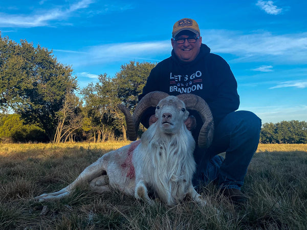 Texas Dall Sheep – Double M Squared Ranch